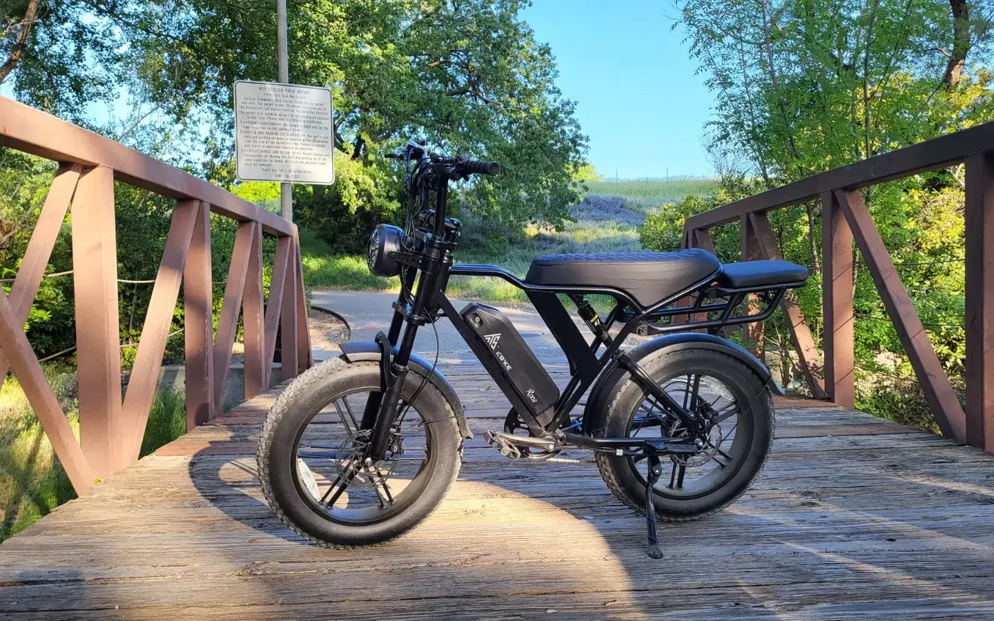 What Makes TST Dreamer 26" Step-Thru Bike Special?