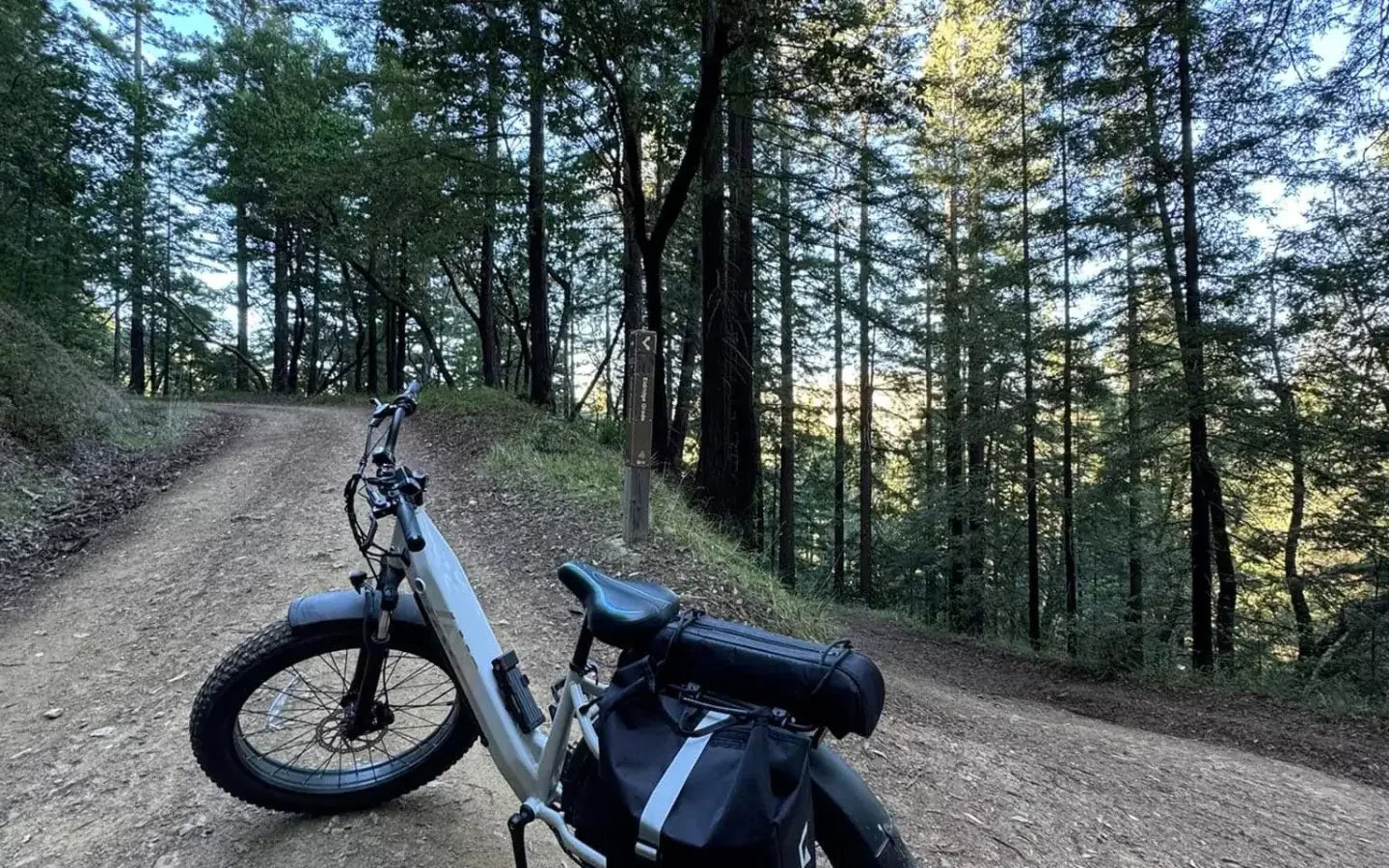 Why Choose an Electric Bike for Adults 50 MPH? A Deep Dive into High-S