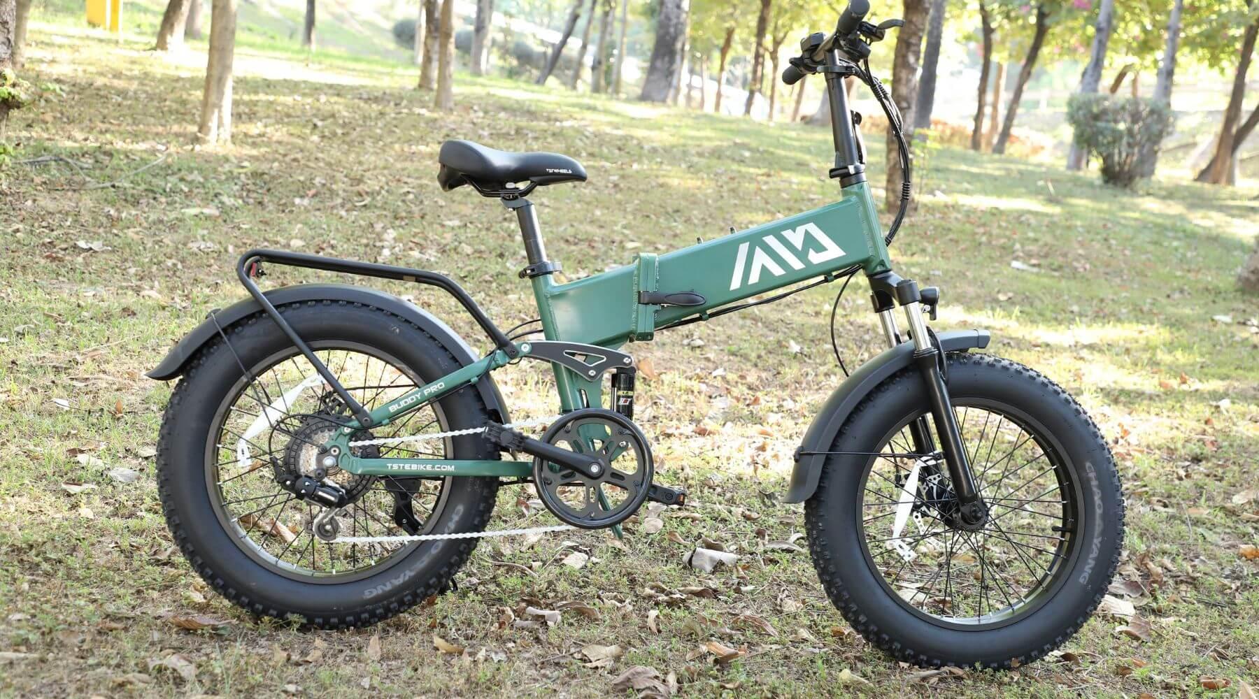 TST Buddy Pro Foldable Ebike: Versatility and Value Rolled Into One