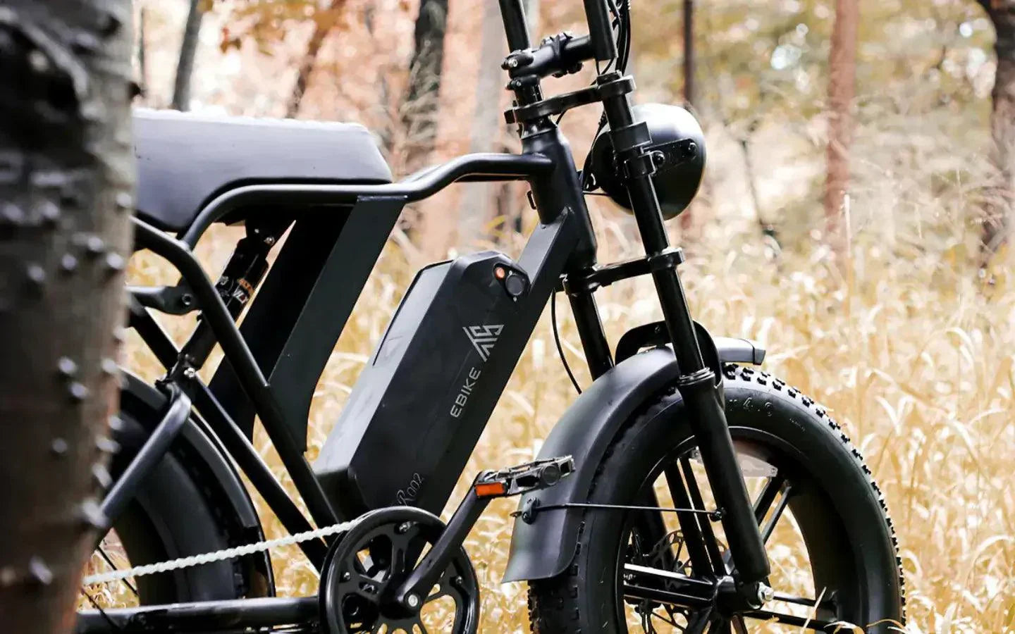 How Much is an Ebike? Understanding the Cost of Electric Bicycles