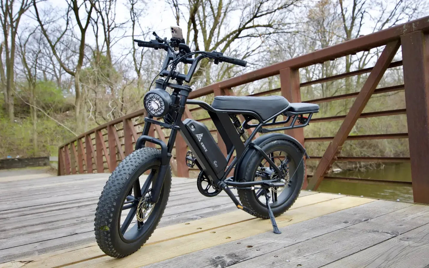 What Makes A Powerful Rear-Drive Electric Bike?