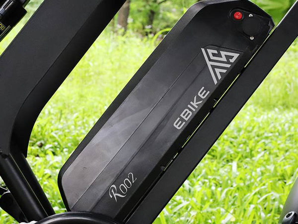 TST® R002 20'' 1500W Full Suspension Moped-style Electric Bike – Watt ...