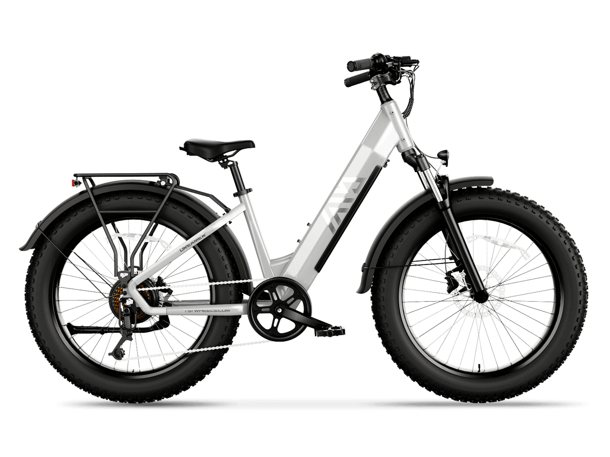 All Electric Bikes | TST eBikes